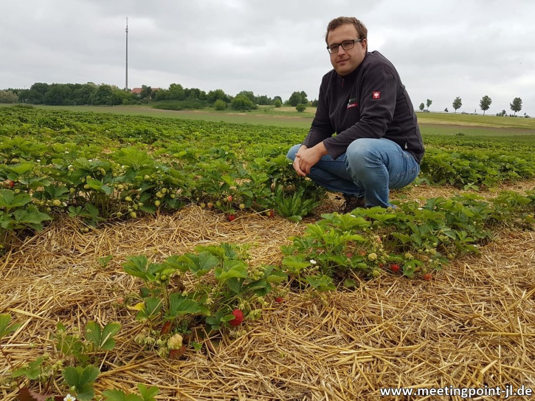 Rot, knackig und saftig! Erdbeerstart in Hohenseeden