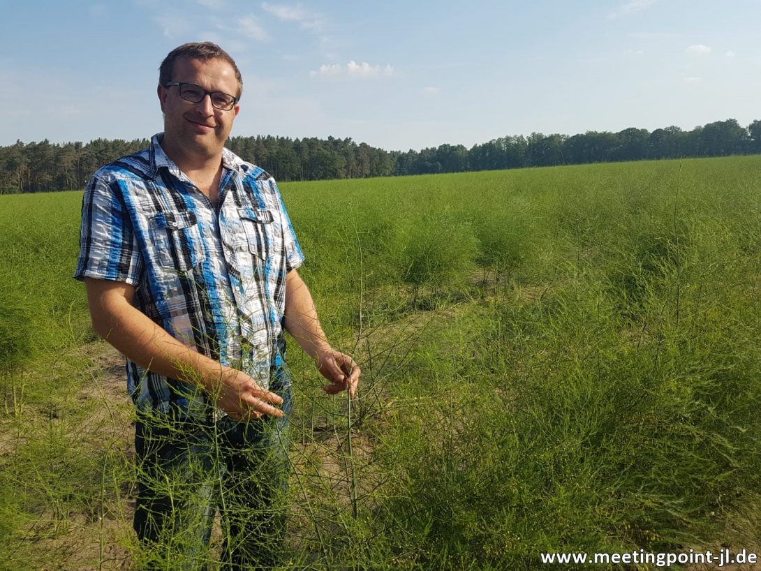 Spargelbilanz im Jerichower Land