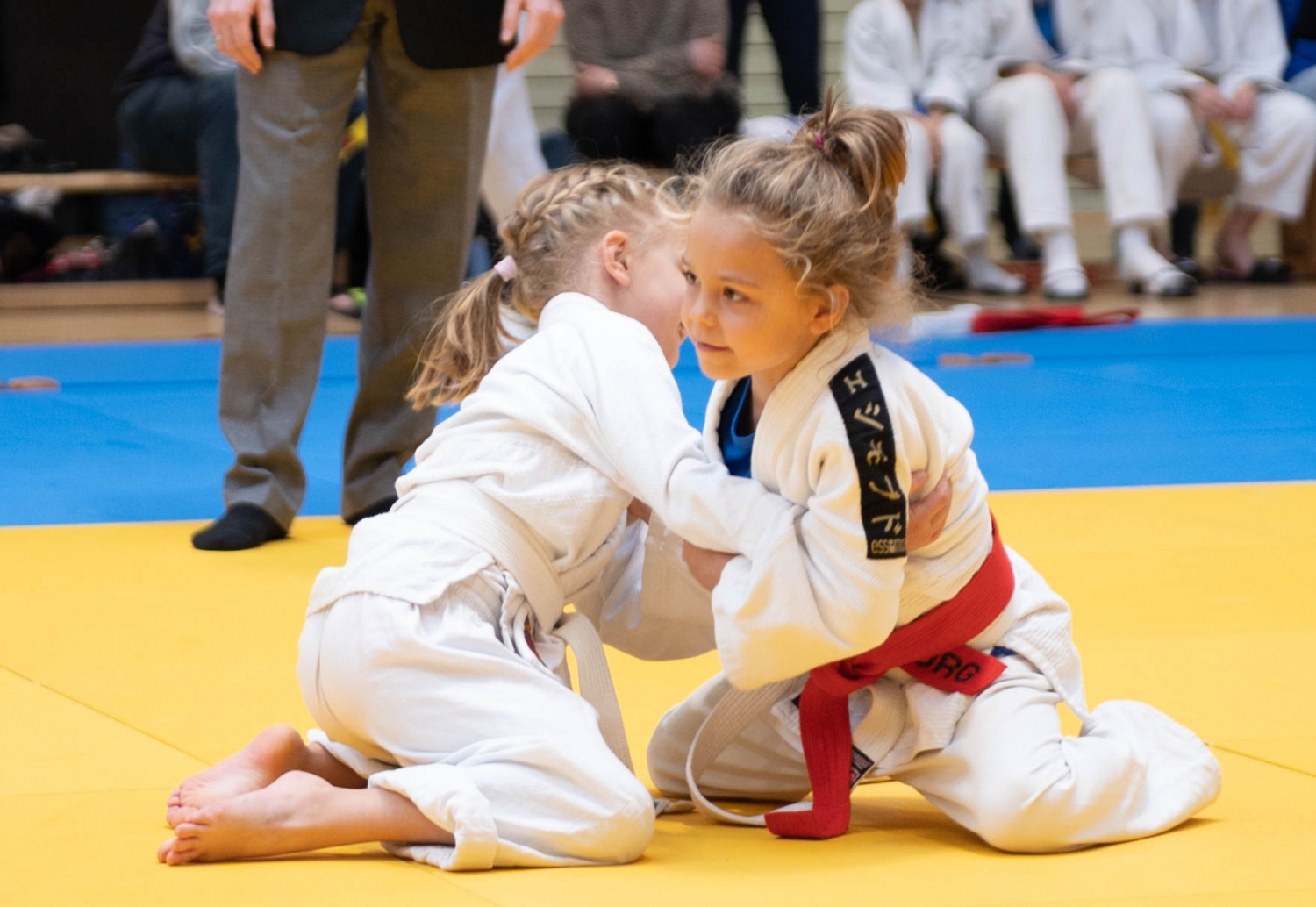 Judosport im Jerichower Land, ein ganz besonderes Mixed-Team Erlebnis