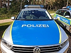 Kollision bei der Kiesgrube: Rehbock stirbt bei Wildunfall